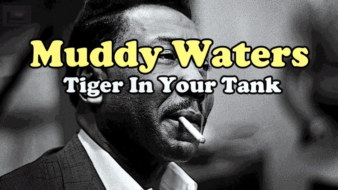 Muddy Waters - Tiger In Your Tank - Live In Cambridge1966 (Audio) - YouTube