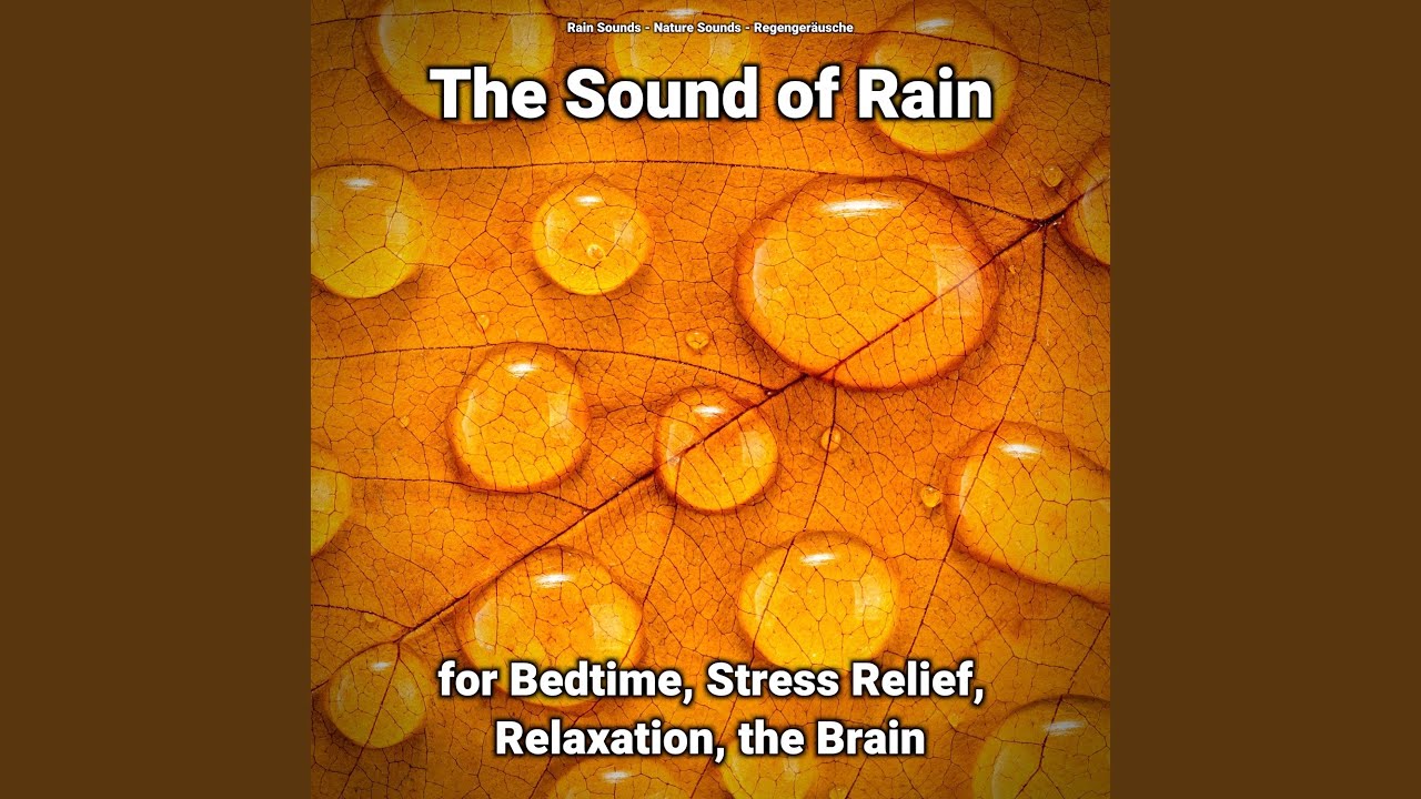 The Sound of Rain for Bedtime and Stress Relief Pt. 84 - YouTube