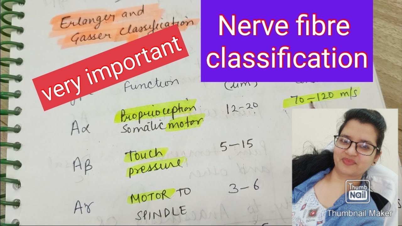 Nerve fibre classification - YouTube