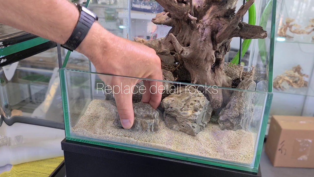 Open Range: How to Create a Stunning Paludarium | Step-by-Step Setup ...