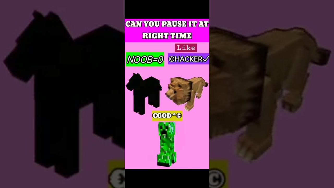 Can You Pause Right Time YouTube Can You Pause Right Time YouTube