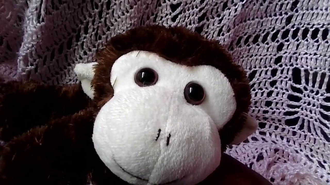 Momo says Mo - YouTube