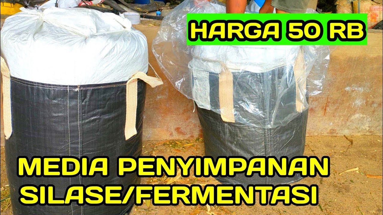 Kolam silase jumbo bag murah 50rb kapasitas 1,5 kintal media ...