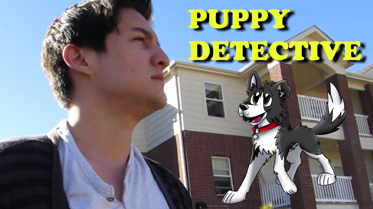 PUPPY DETECTIVE - YouTube