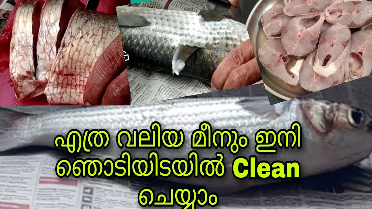 ഇനി എത്ര വലിയ മീനും easy ആയി ക്ലീൻ ആക്കാം💯 | Being Beyond Beautiful ...