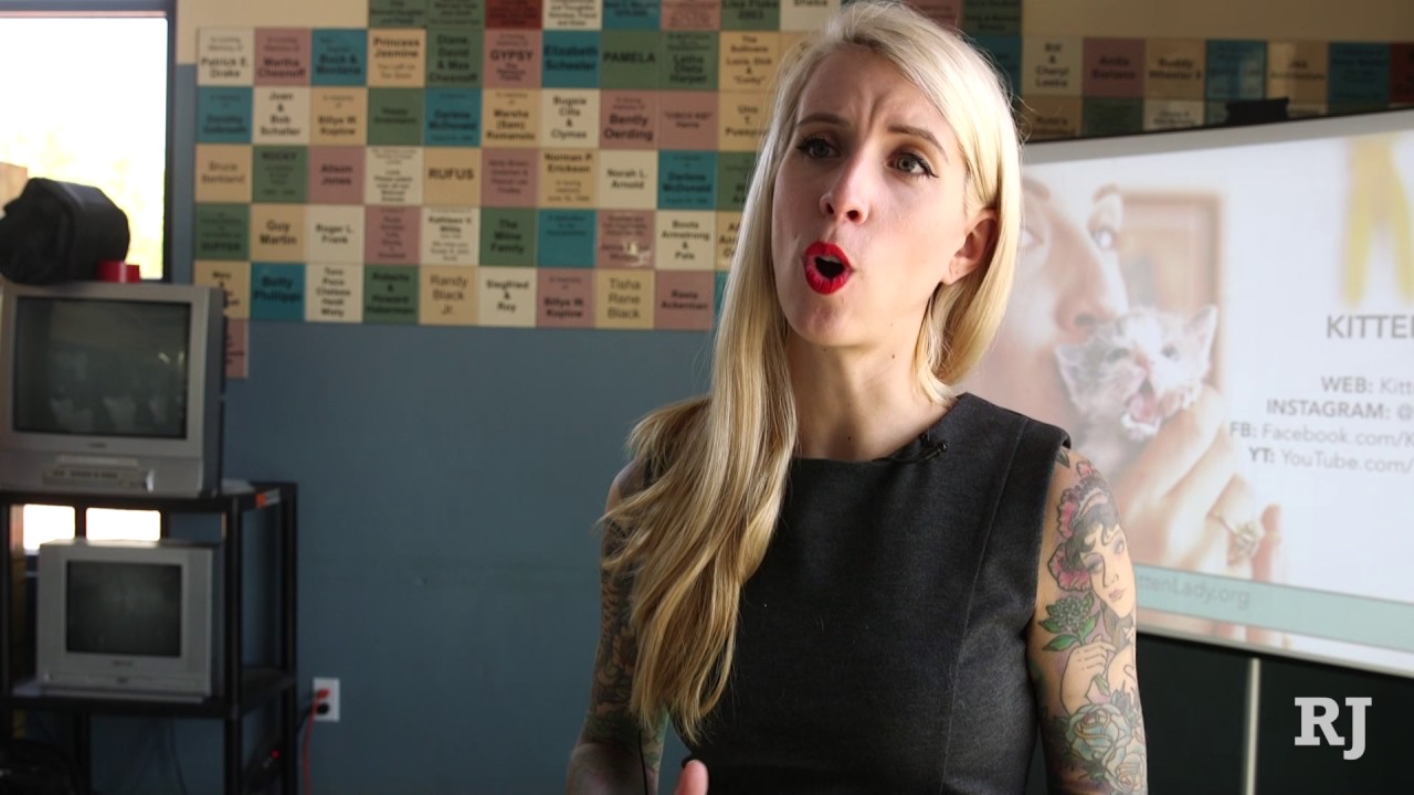 "Kitten Lady" to hold kitten fostering workshop in Las Vegas - YouTube