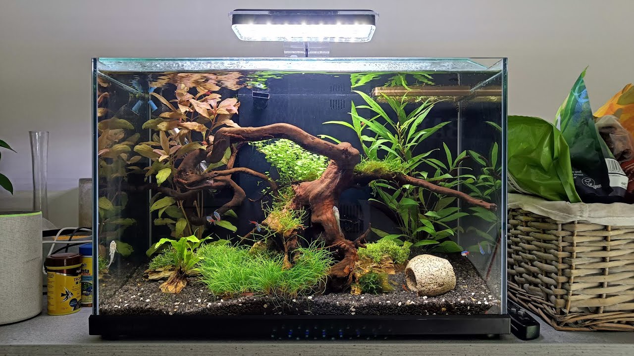 Aqua One Focus 36 - YouTube