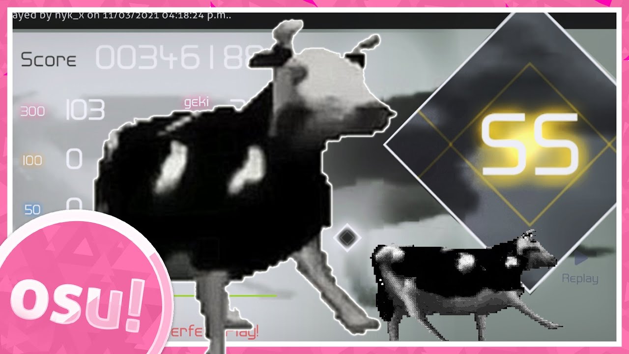 POLISH COW IN OSU - YouTube