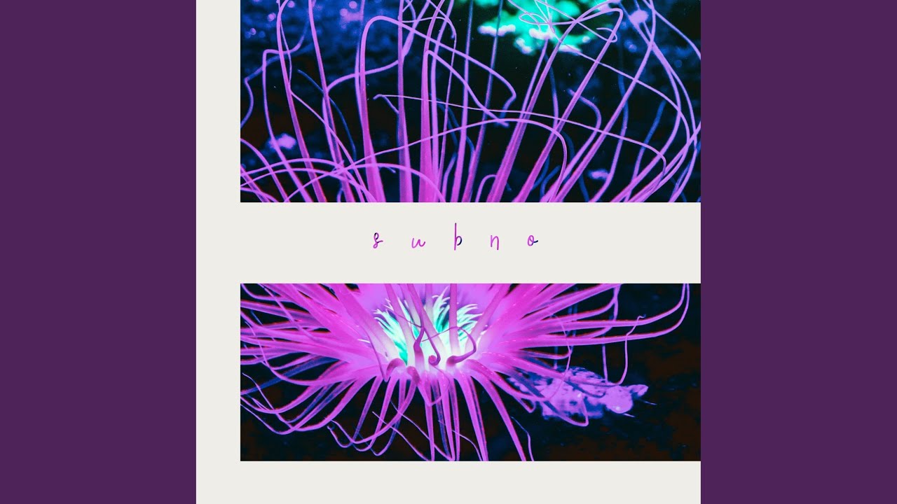 Beyond the Perceptible - Subno: Song Lyrics, Music Videos & Concerts