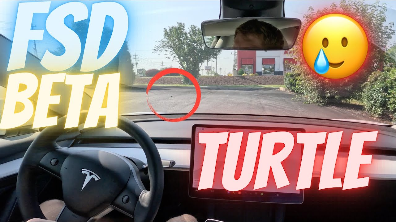 🐢Turtle undetected🥲Tesla FSD Beta🔥 - YouTube