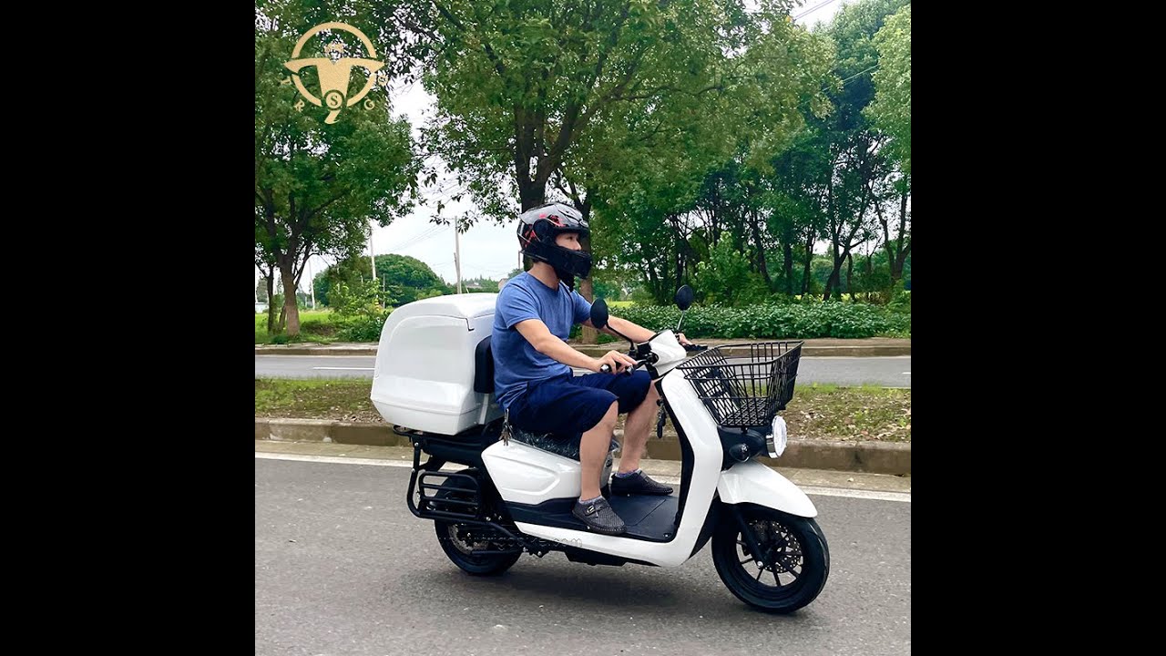 TRIGO Delivery Electric Cargo Scooter CiaoBird Max 80km/h With 100 ...