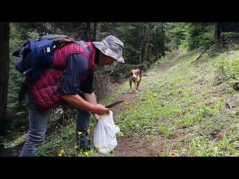 MANTAR KÖZLEME ☆ DOĞADAKİ HUZUR