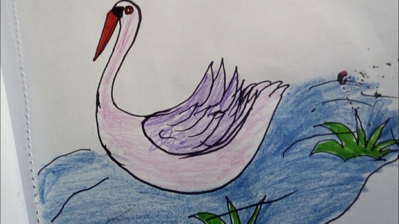 how to draw swan very easy, how draw swan in water step by step ...