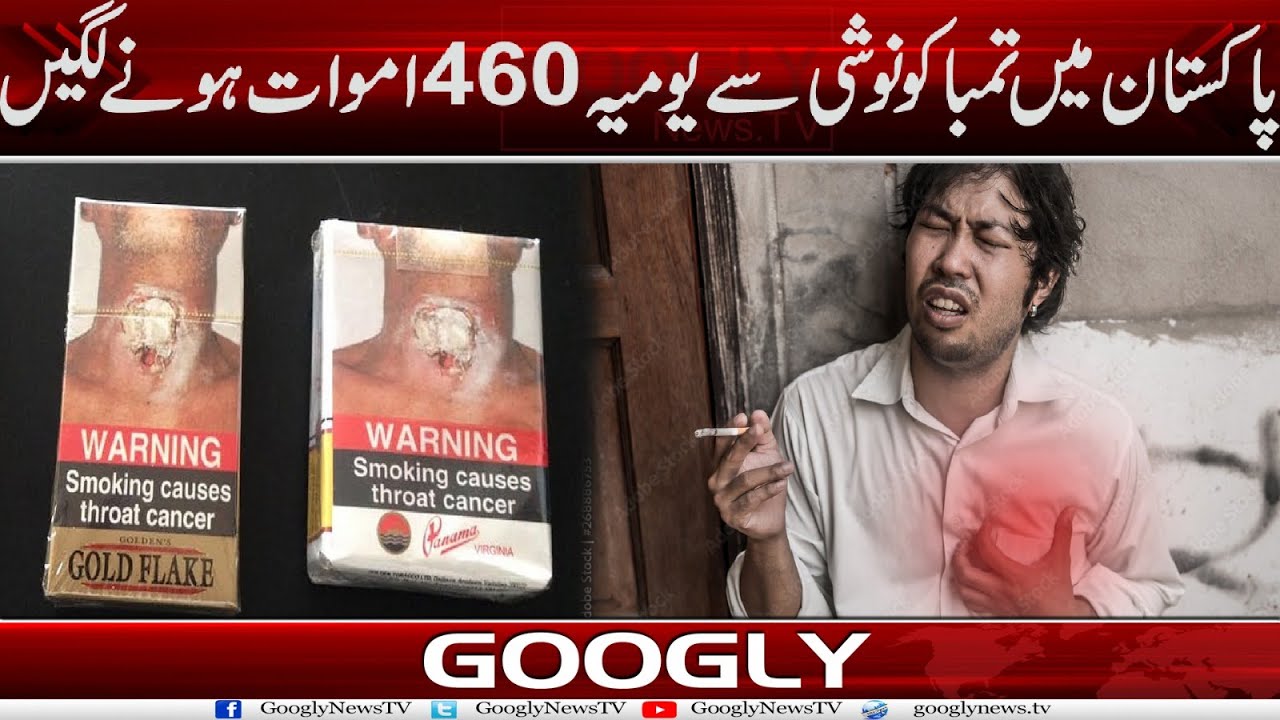Pakistan Mein Tobacco Noshi Sai Daily 460 Amwat Honay Lagain | Googly ...