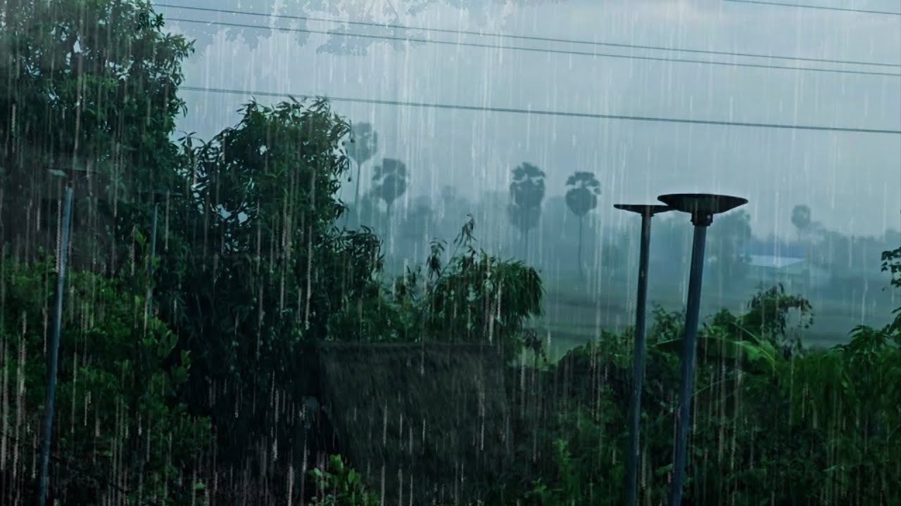 Real Rain Sounds For Deep Sleep - 8 Hours of Relaxing and Meditation ...