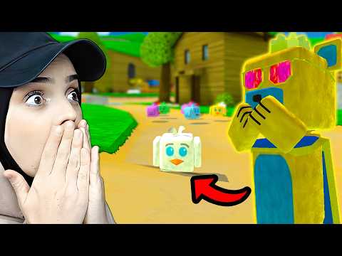 SÜPER AYI KUŞ OLUP DİĞER KUŞLARI KANDIRDI! 😱🐥