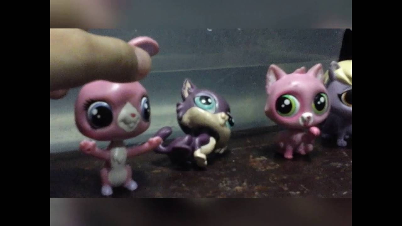 Littlest Petshop Pool Party! - YouTube