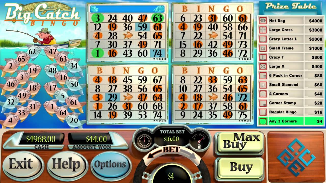 BigCatch Bingo (Tutorial) - 24 # Quickshot Bingo - YouTube