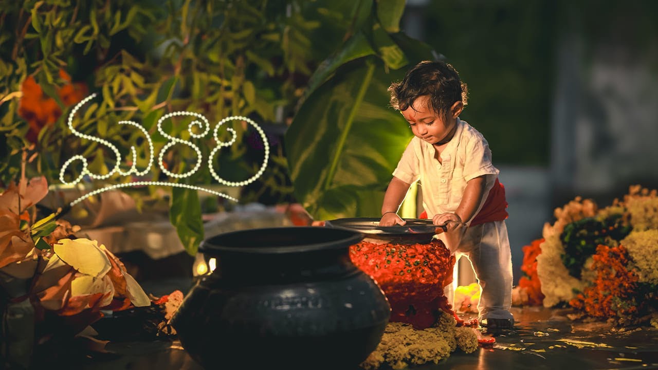 🎶 Dum Dum Dum Nataraju | Dance & Joy Unleashed! 🎉|| Focusking ...