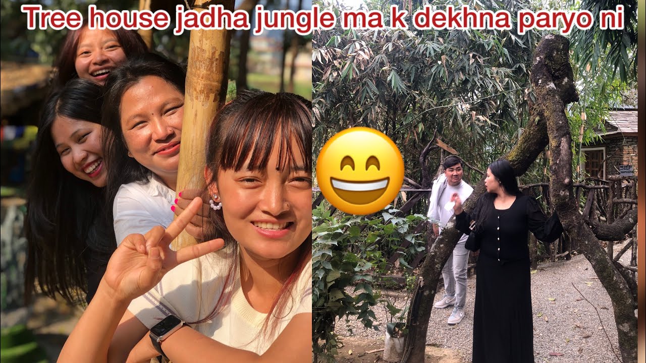 Tree 🏡 jadha junglema k dekhna paryo 😄||puspa grg।। - YouTube