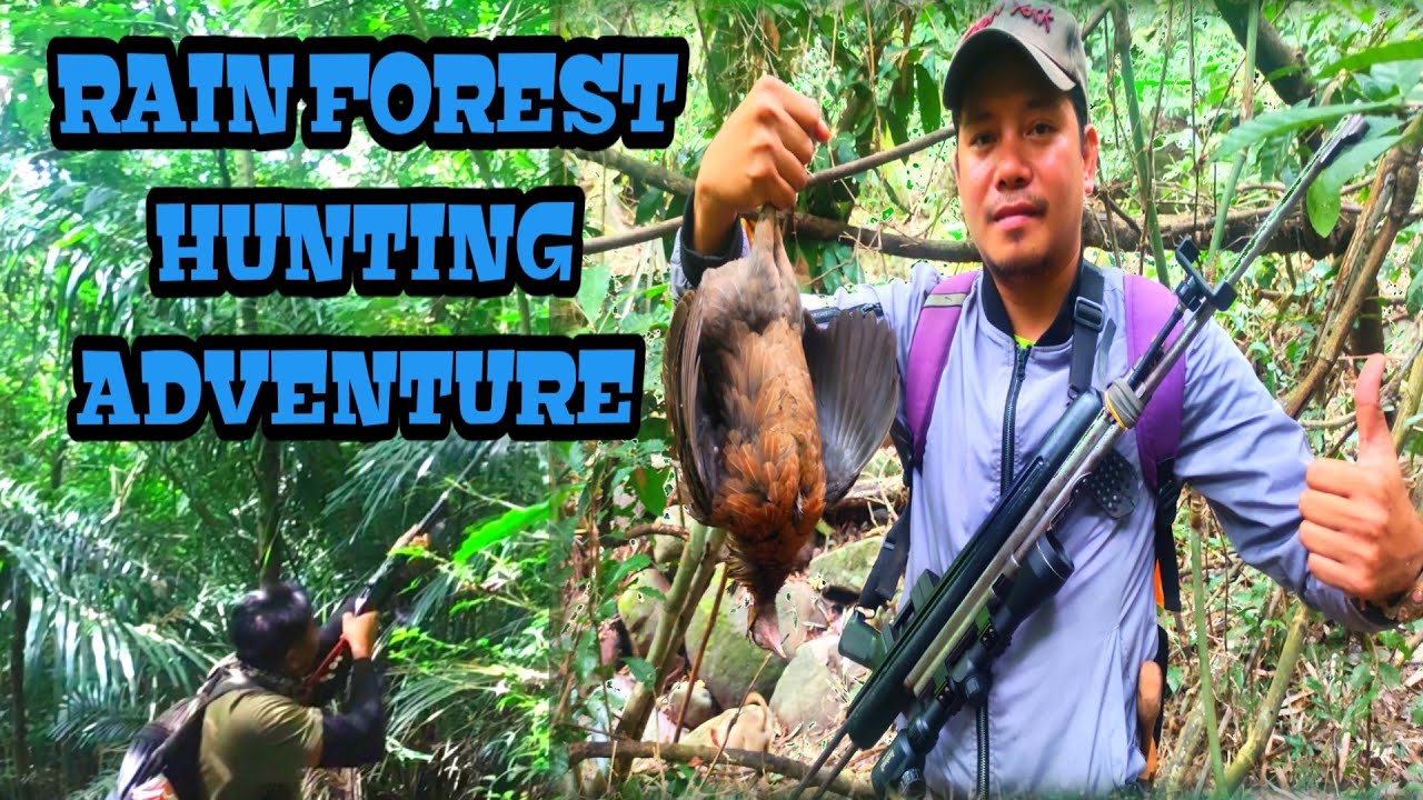 FOREST HUNTING ADVENTURE USING AIR RIFLE GUN, TATLONG LIGAW NA MANOK ...