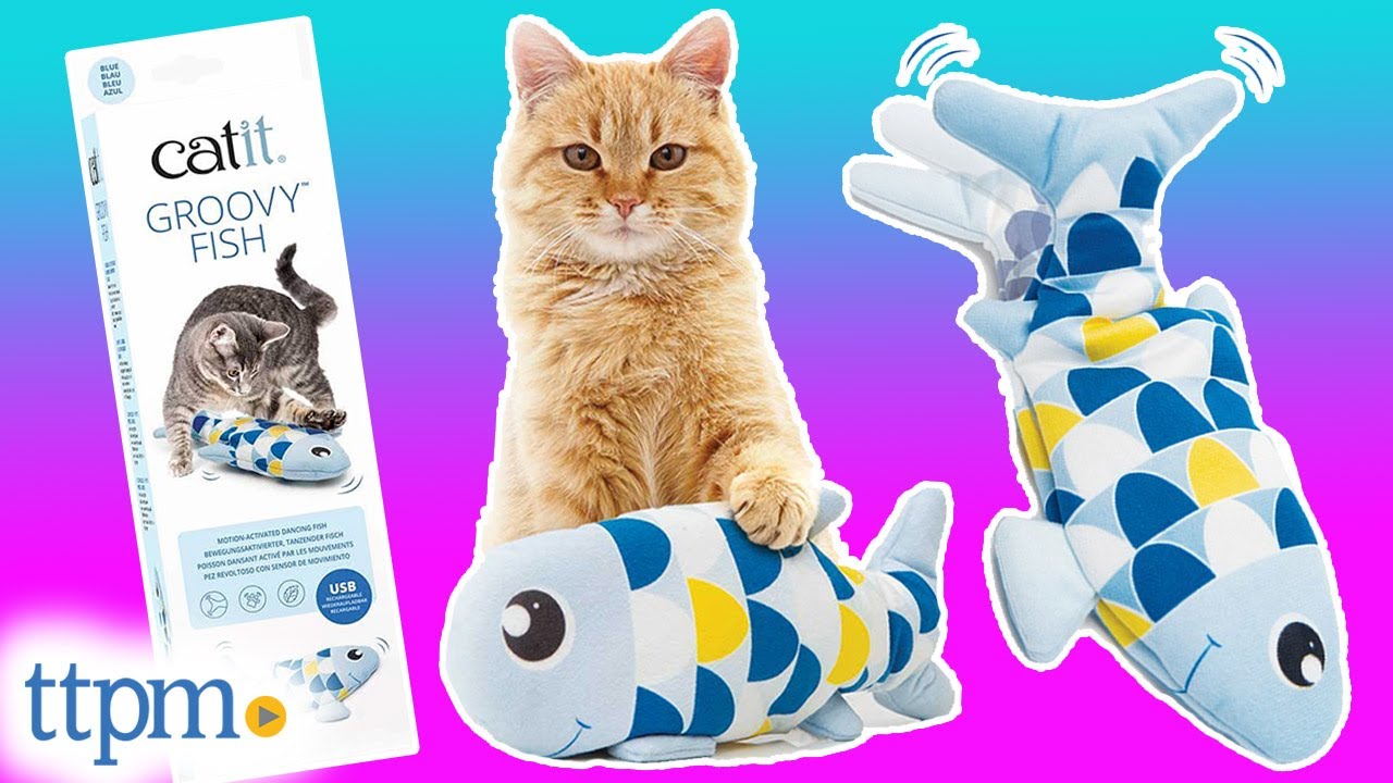 Kitties Review the Groovy Fish Catnip Toy from Catit! - YouTube
