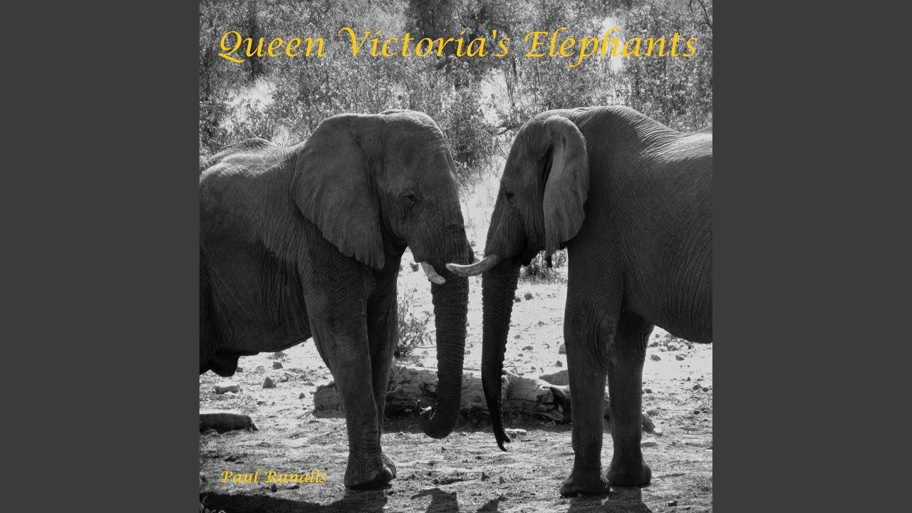 Queen Victoria's Elephants - YouTube