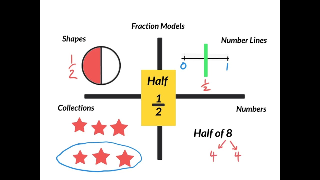 Fractions: Models of Half - YouTube