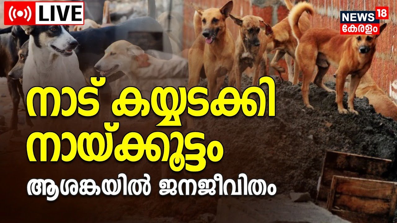 LIVE : Stray Dog Attack In Kerala | Rabies Death Kerala | Kerala News ...