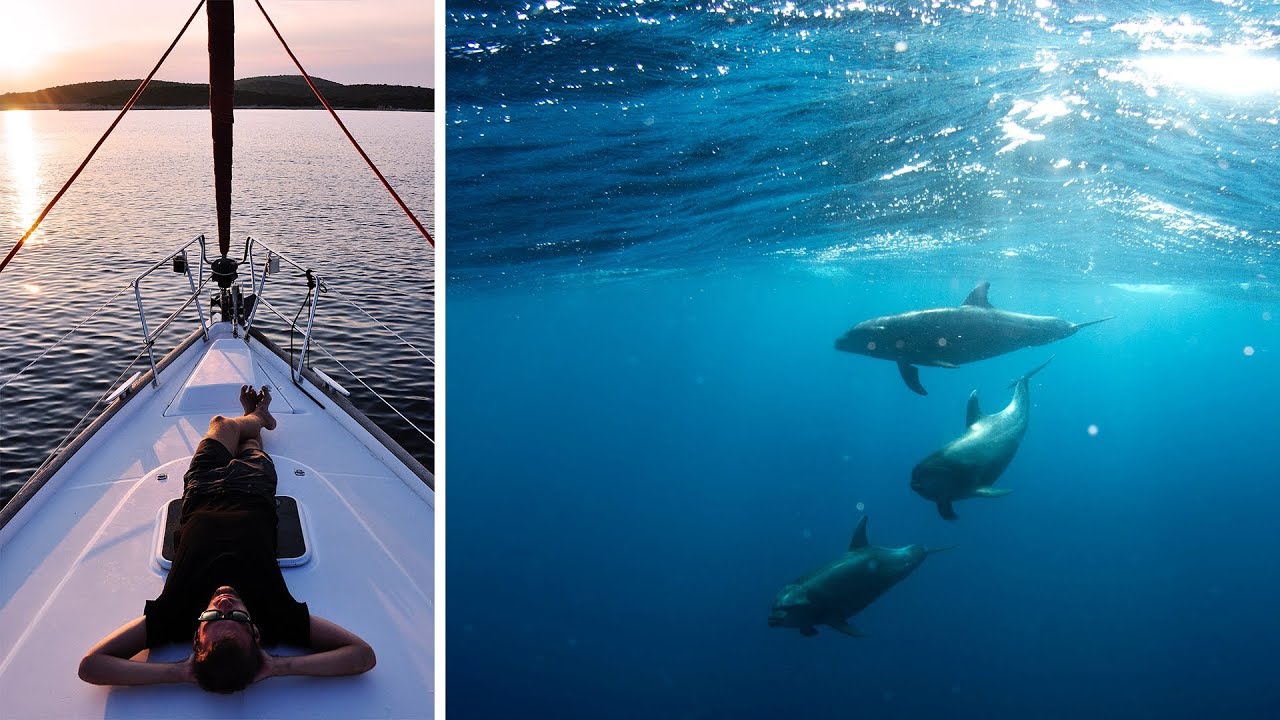 GoEco VOLUNTEER Trip Vlog - Volunteer with Dolphins in Croatia - YouTube