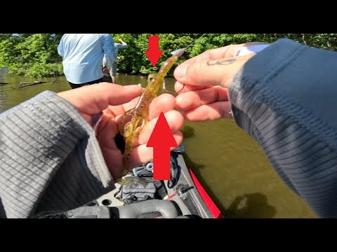Fishing lizards and worms for GIANT bass! (so many bass) - YouTube