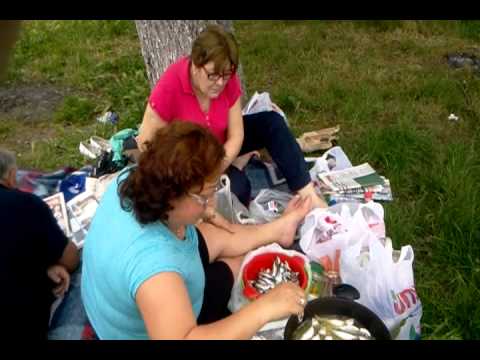 Dunurlerin piknik sefasi