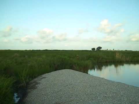 Marsh Island - YouTube