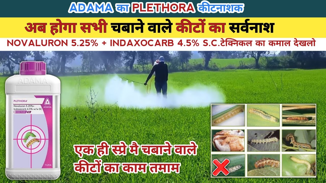 adama plethora insecticide | novaluron 5.25% + indaxocarb 4.5% s.c ...