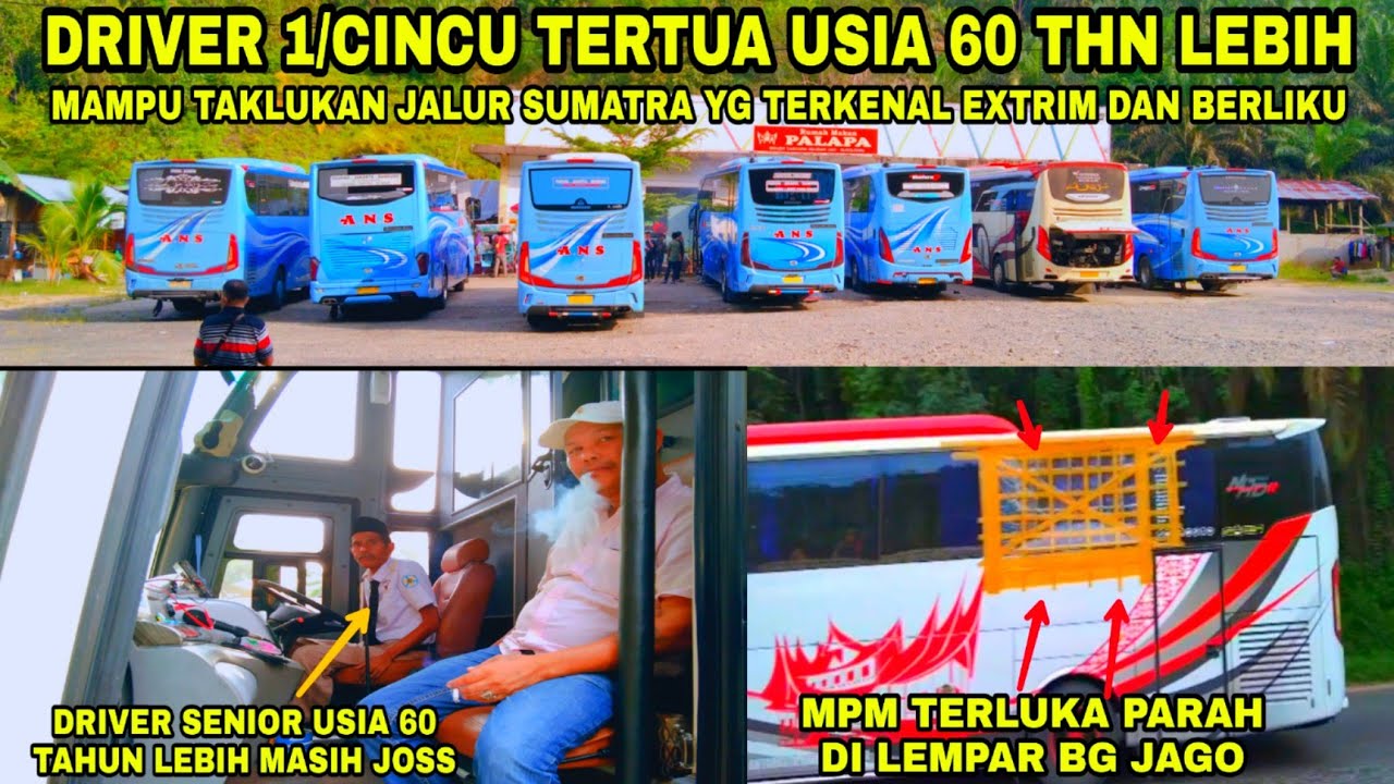 DRIVER 1/Supir tertua Usia 60 thun lebih Mampu taklukan jalur Sumatra ...