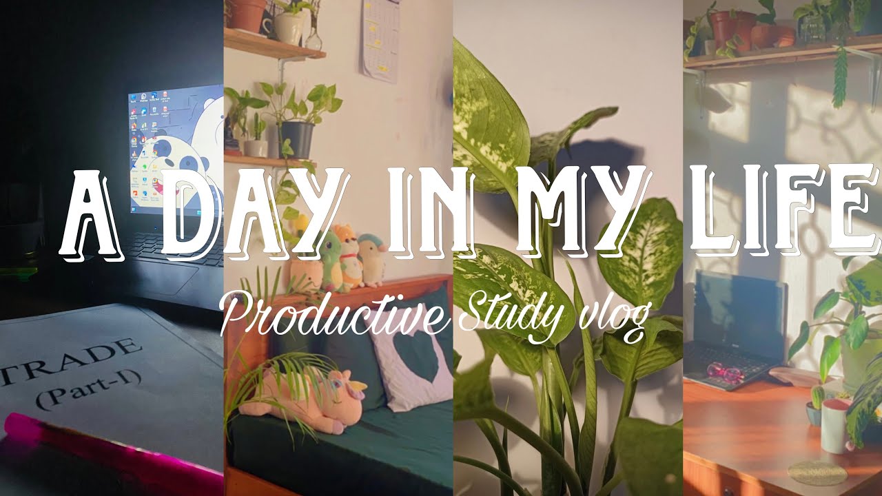 A day in my life | productive study vlog | මගෙත් එක්ක දවසක් study කරමුද ...