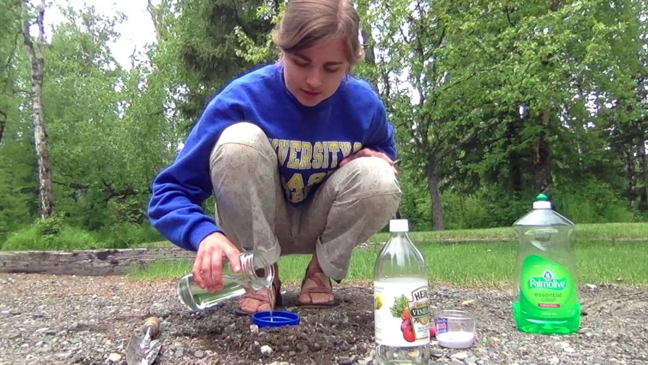 Baking Soda Vinegar Volcano YouTube baking-soda-vinegar-volcano-youtube