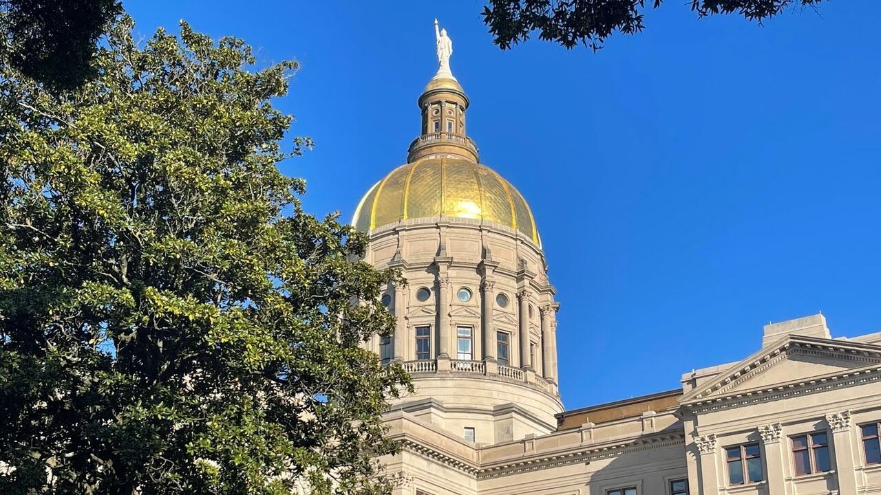 Georgia Senate advances bill seeking to force agencies to cut back on ...