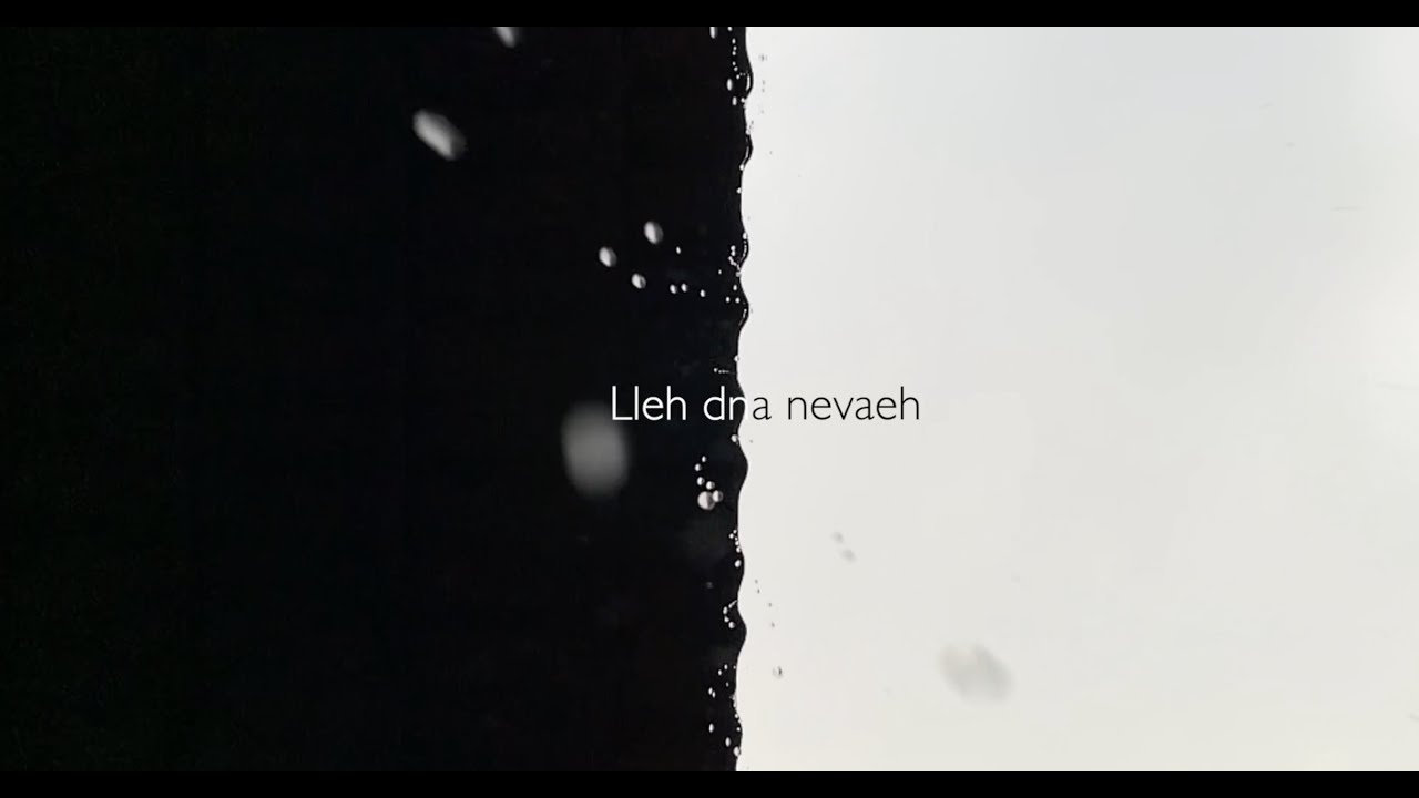 Handpan music - Lleh dna nevaeh (Official Video) | Pawel Gajewski - YouTube