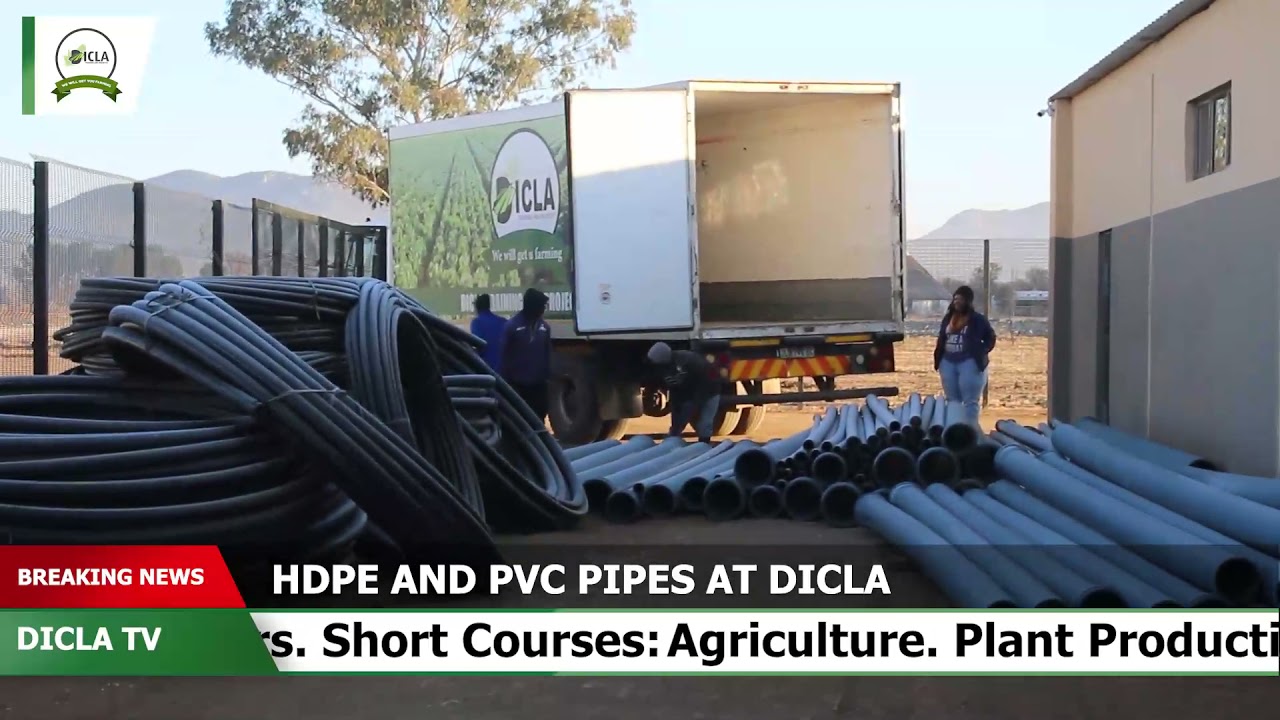 DICLA WAREHOUSE!!! - YouTube