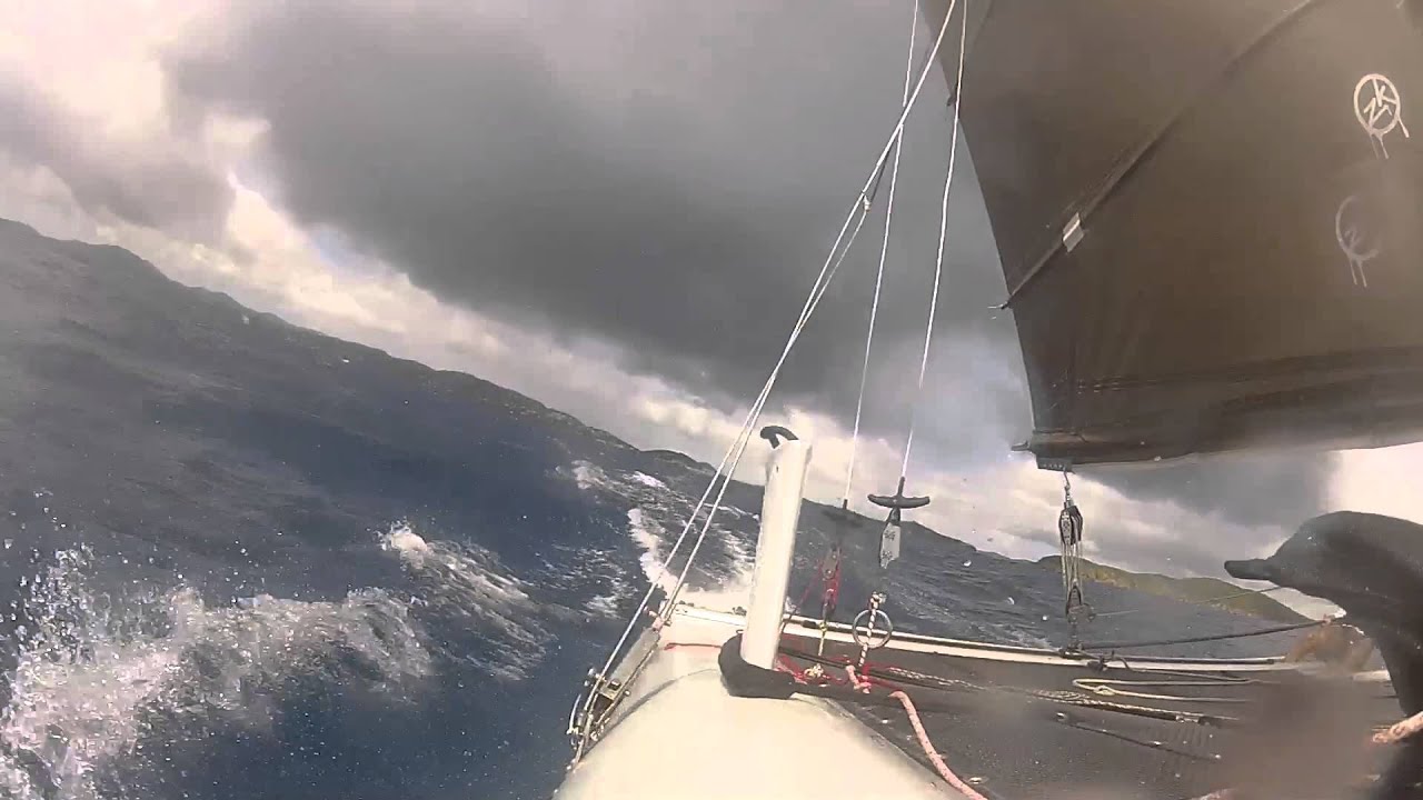 Crash Break Fast Cat Awesome Sailing - YouTube