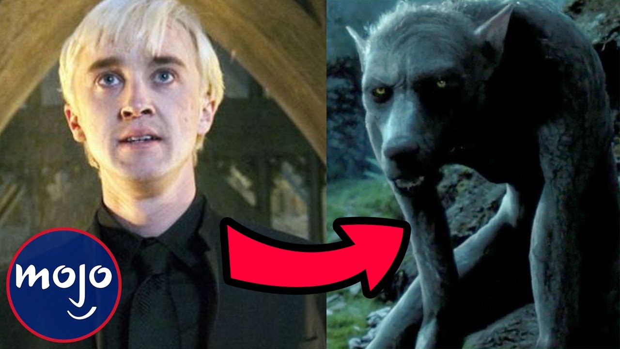 Top 20 Harry Potter Fan Theories - YouTube