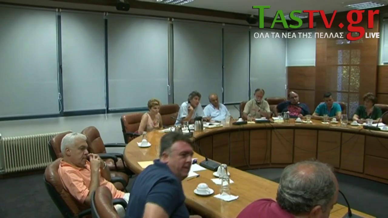 ΕΔΕΣΣΑ : ΔΗΜΟΤΙΚΟ ΣΥΜΒΟΥΛΙΟ ΣΥΖΗΤΗΣΗ ΓΙΑ ΤΟ ΚΑΤΑΣΤΗΜΑ "ΤΗΜΕΝΙΔΩΝ" - YouTube