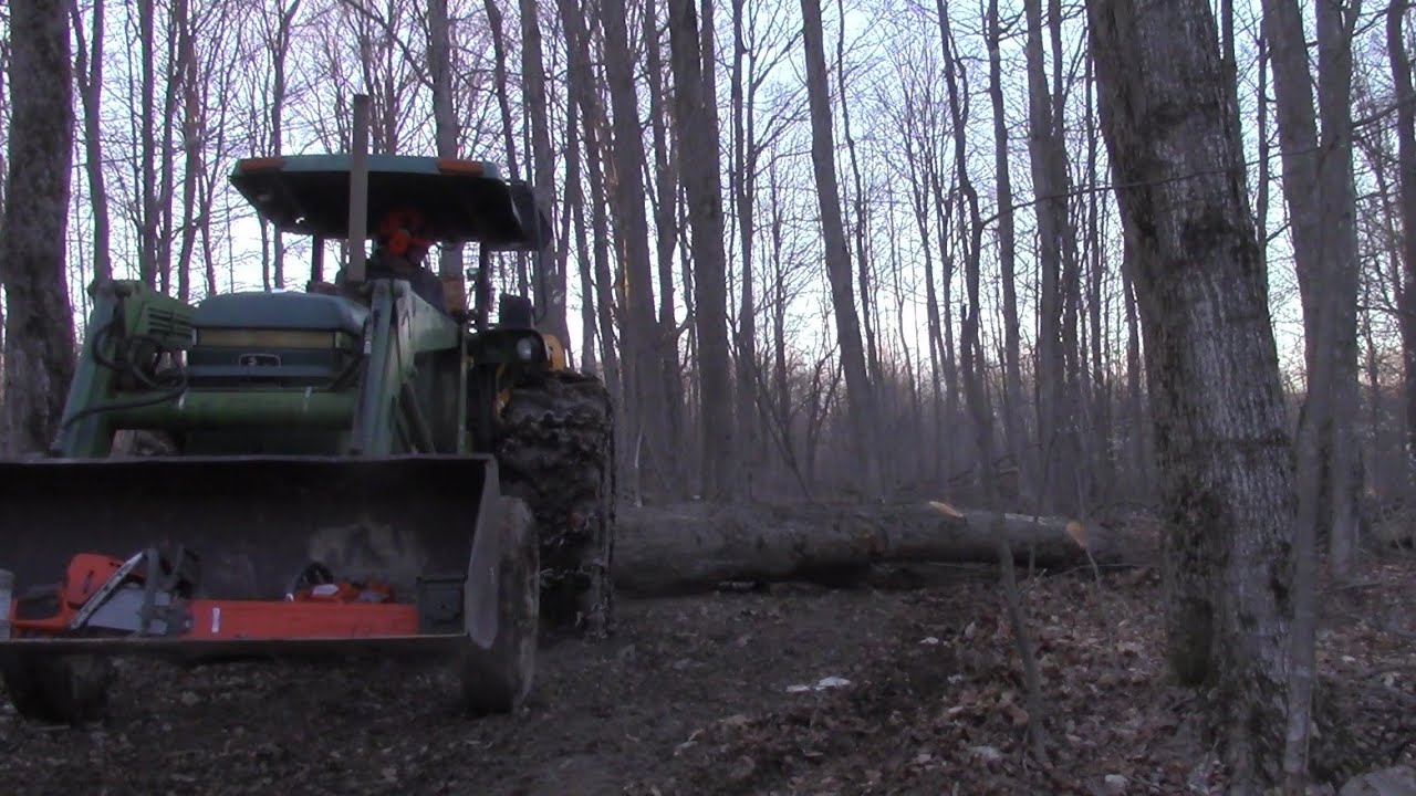 Bore Cut Basics, A Husqvarna 572xp & 562xp Felling Hard Maple ...