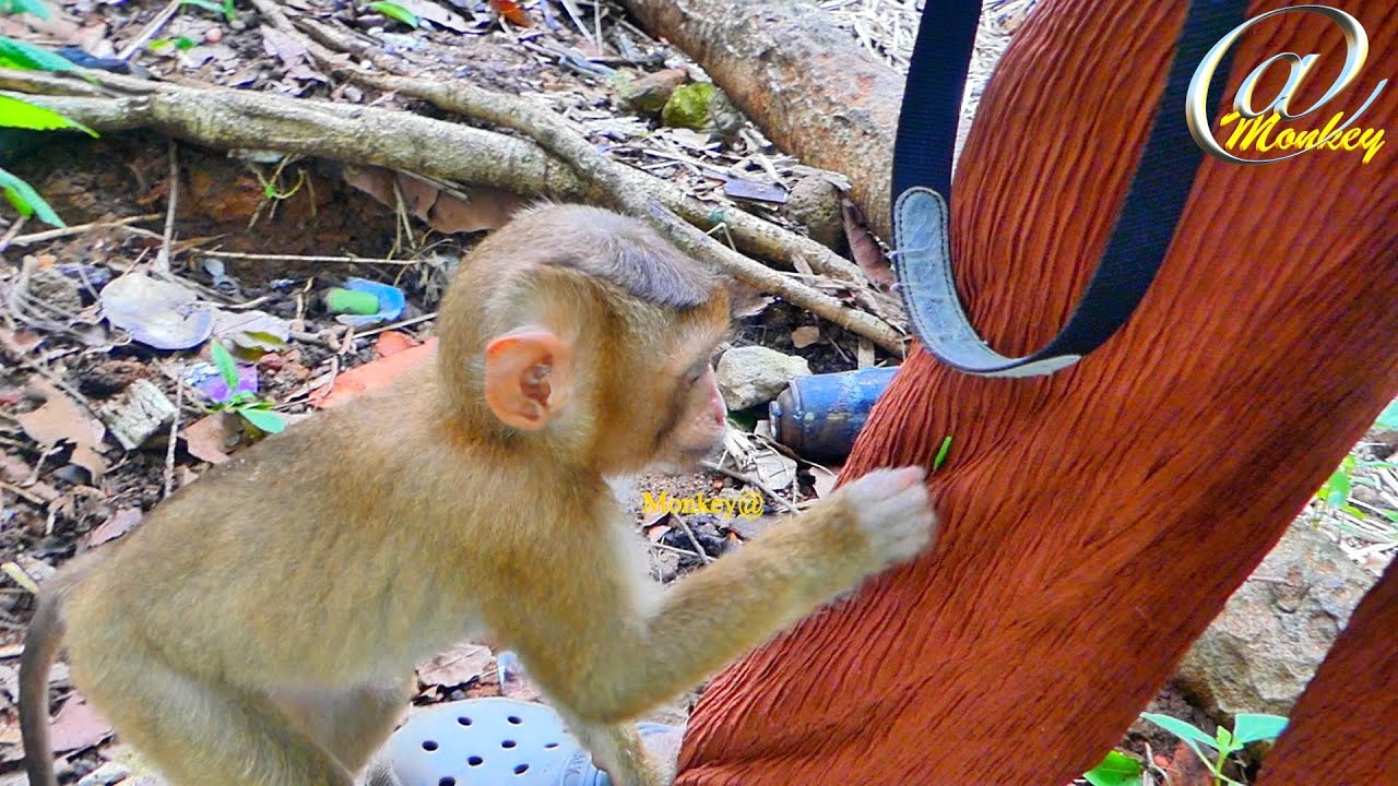 Amazing..! SARO is very good to take care of humans. - YouTube