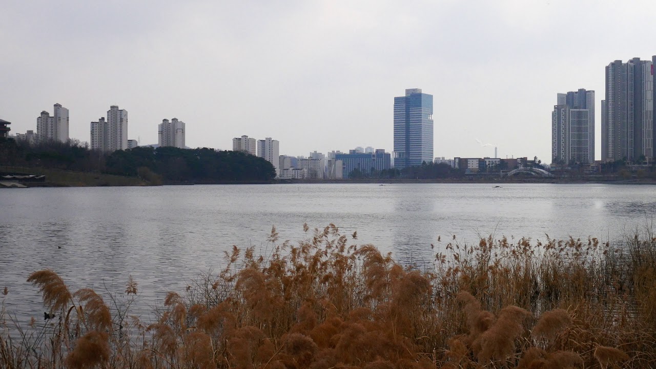 korea, suwon, lake, water, building, cloud, reed, wind, Waves, peaceful ...