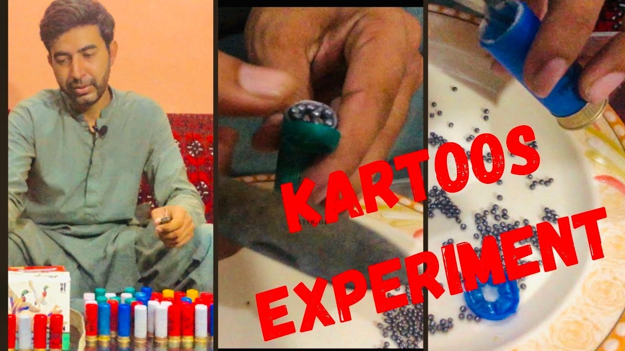 Shoter kartoos vs shaheen || cartidges unpacking || 12 bore || 12 bore ...