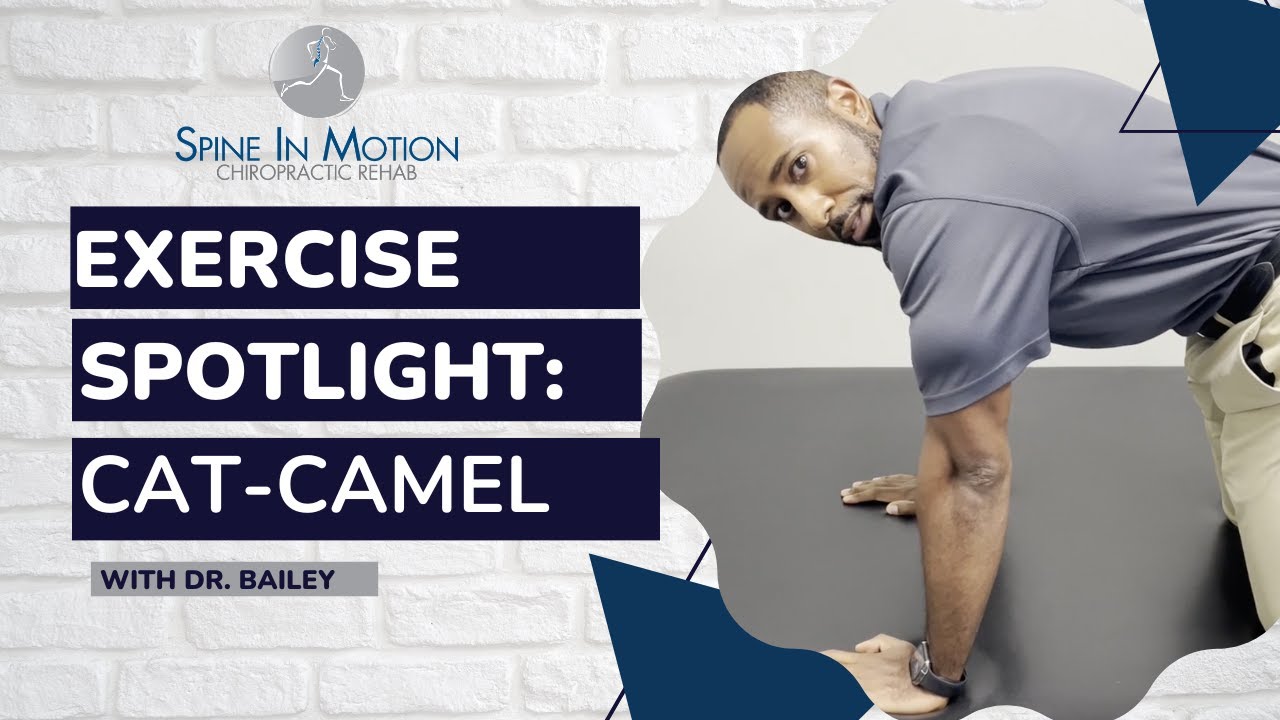 Exercise Spotlight: Cat Camel - Spine in Motion Chiropractic Rehab ...