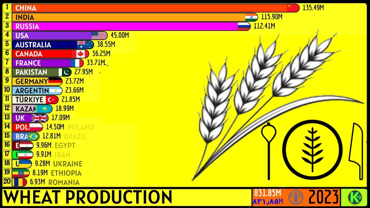 TOP 20 LARGEST WHEAT-PRODUCING COUNTRIES IN THE WORLD - YouTube