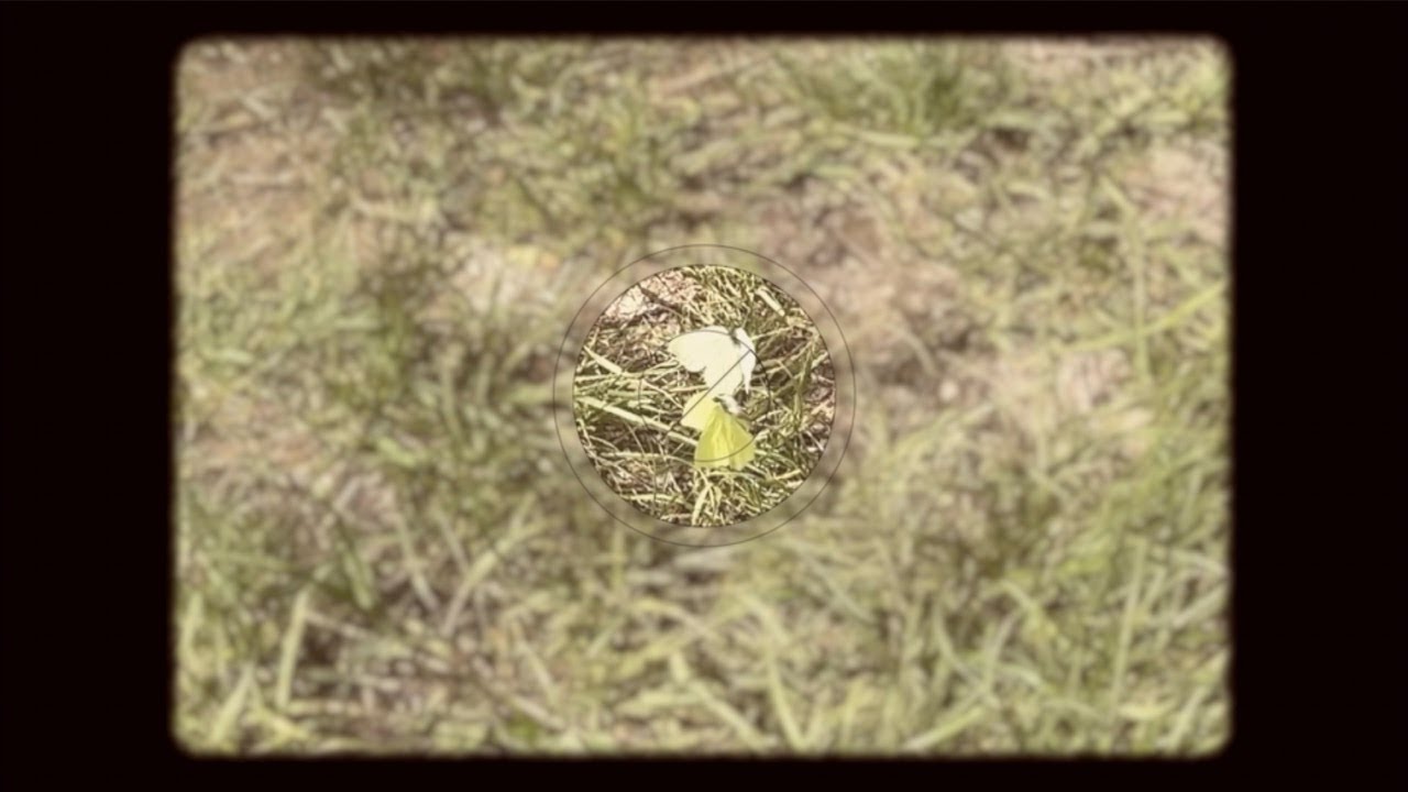You Shot Me - YouTube